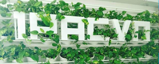 1PAC Vietnam - ITJobs.com.vn